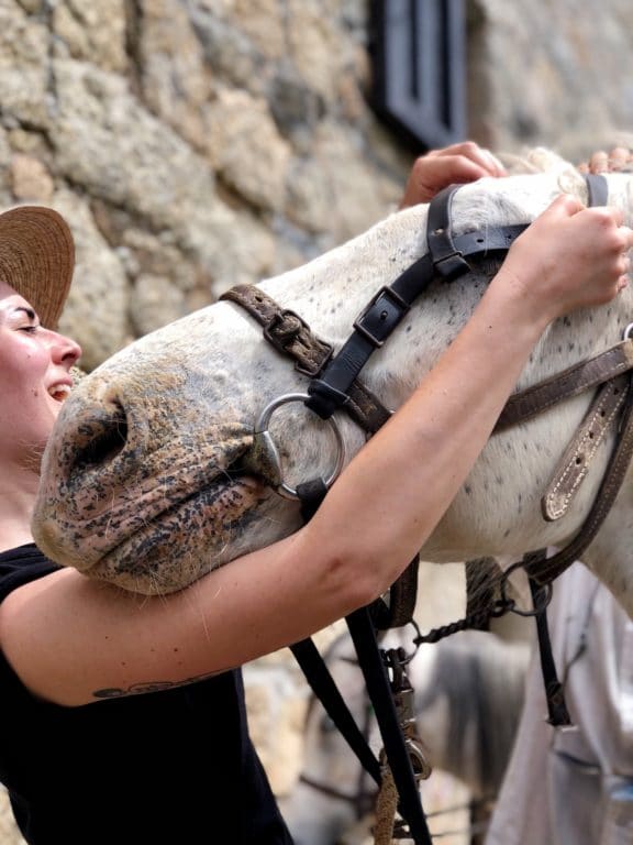 Andare a cavallo in Corsica, un'esperienza indimenticabile a contatto ...