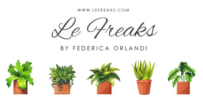 Hey Hair | Le Freaks